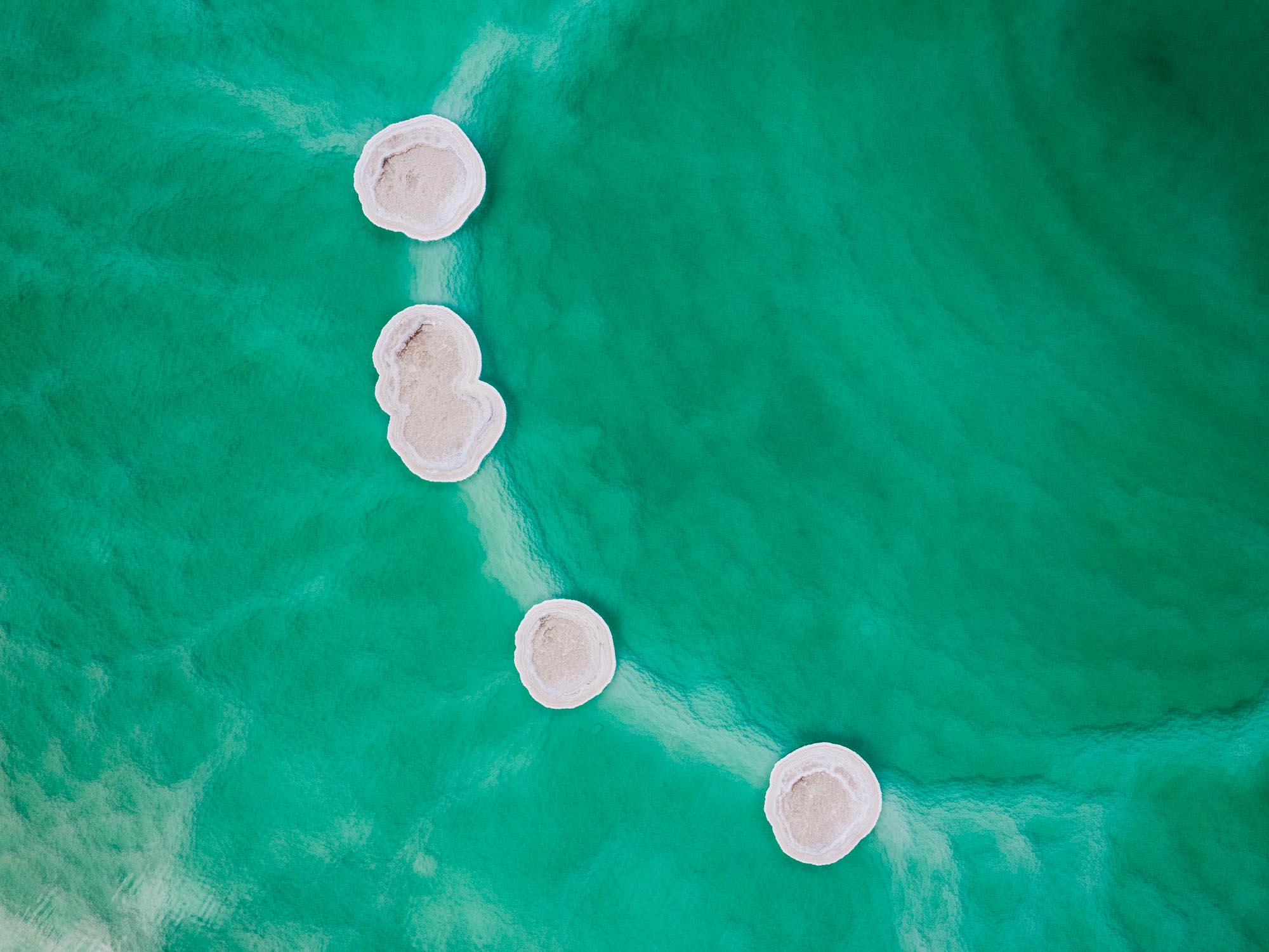 How to Have a Fun(gus) Time at the Dead Sea - Israel Places to Visit ...